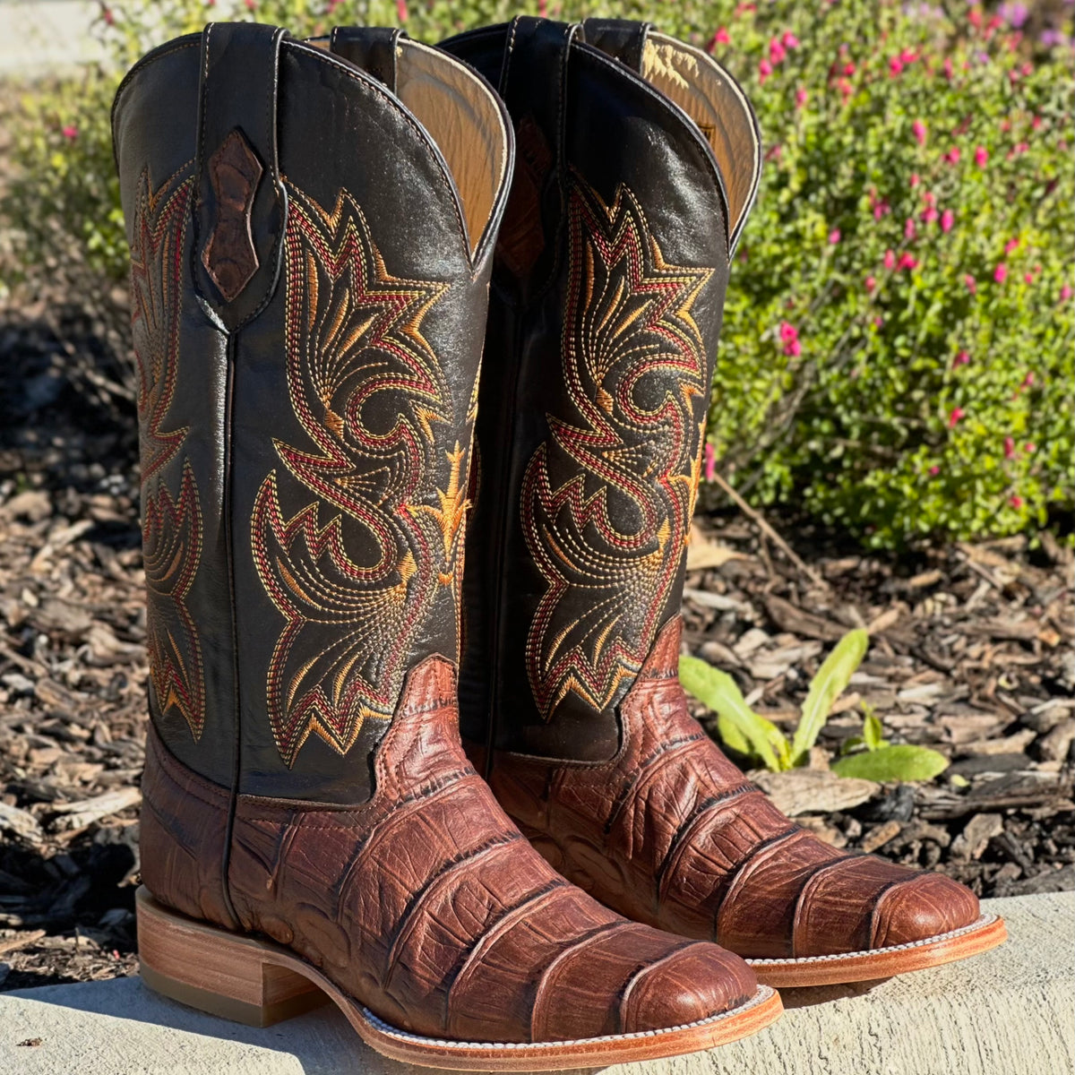 Men’s Western Brown American Belly Gator With Brown Shaft – Texas Boot ...